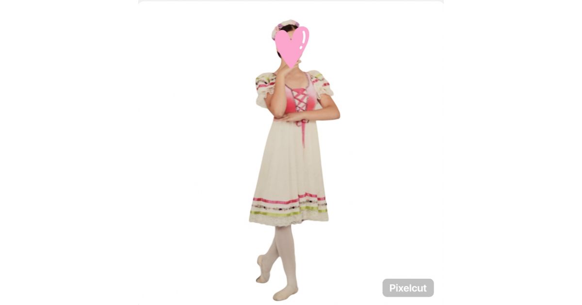 Revolution Pink Velvet Ballet | reCREATE Mrkt